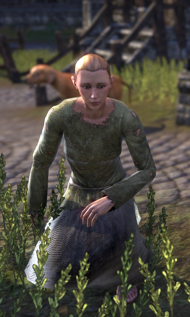 Dufrain | Wiki The Elder Scrolls | Fandom