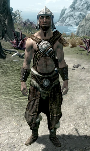 Hide Armor (Skyrim) | Elder Scrolls | Fandom