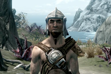 Imperial Light Armor Skyrim