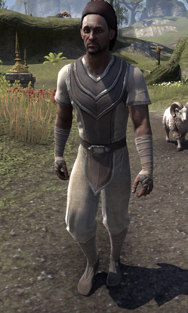 Gagni | Elder Scrolls | Fandom