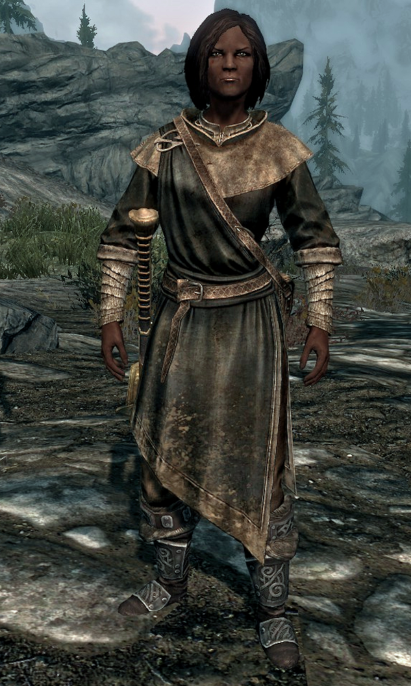 Vigilantes De Stendarr Elder Scrolls Fandom vigilantes-de-stendarr-elder-scrolls-fandom