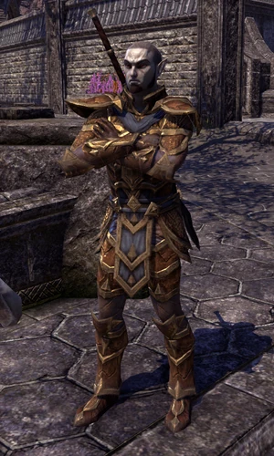 Ordinator Nethis | Elder Scrolls | Fandom