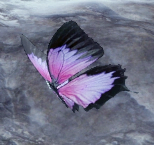 Butterfly (Online) | Elder Scrolls | Fandom