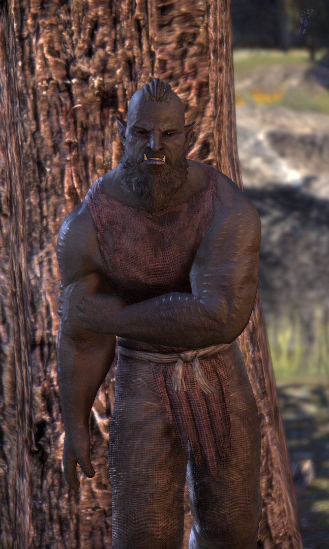 Cingleronce Brise Dents Wiki The Elder Scrolls Fandom