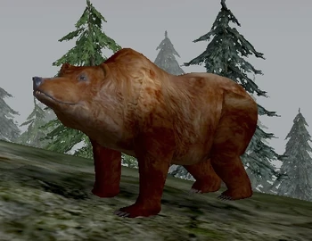 Oso (Bloodmoon) | Elder Scrolls | Fandom