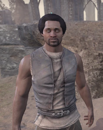 Najan | Elder Scrolls | Fandom