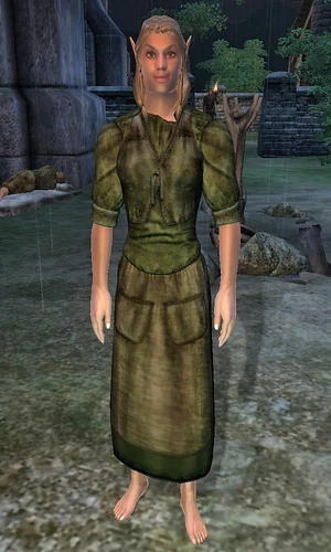 Carwen | Elder Scrolls | Fandom