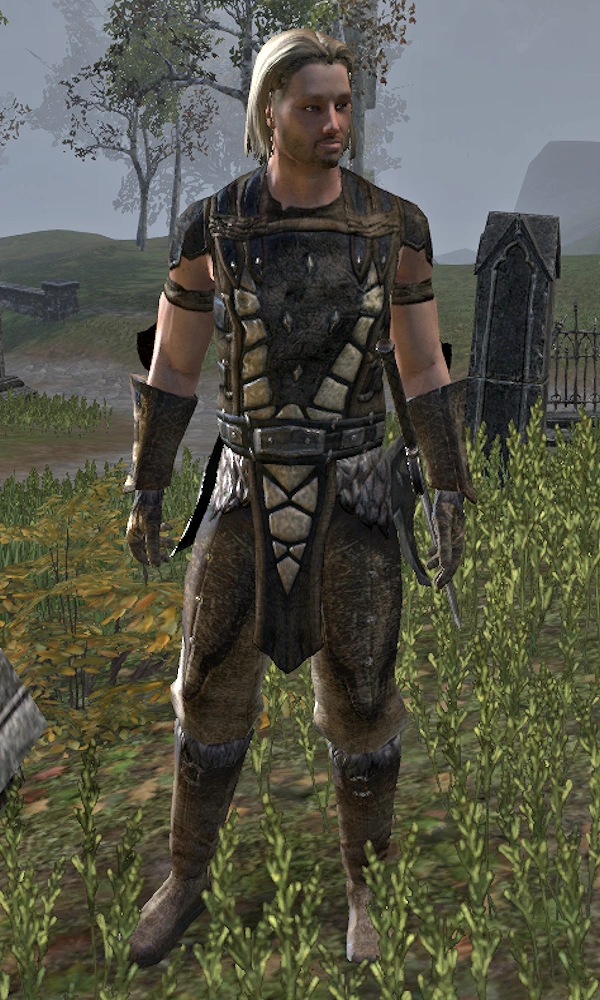 Harald Winvale | Elder Scrolls | Fandom