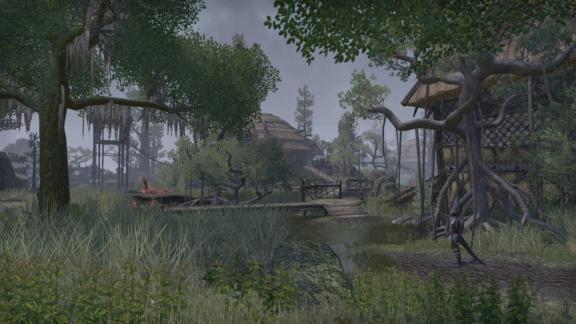 Elder Scrolls Online Black Marsh