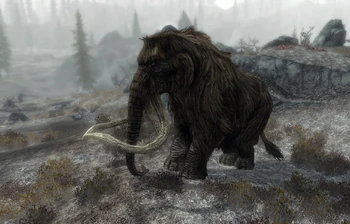 Mammoth (Skyrim) | Elder Scrolls | Fandom