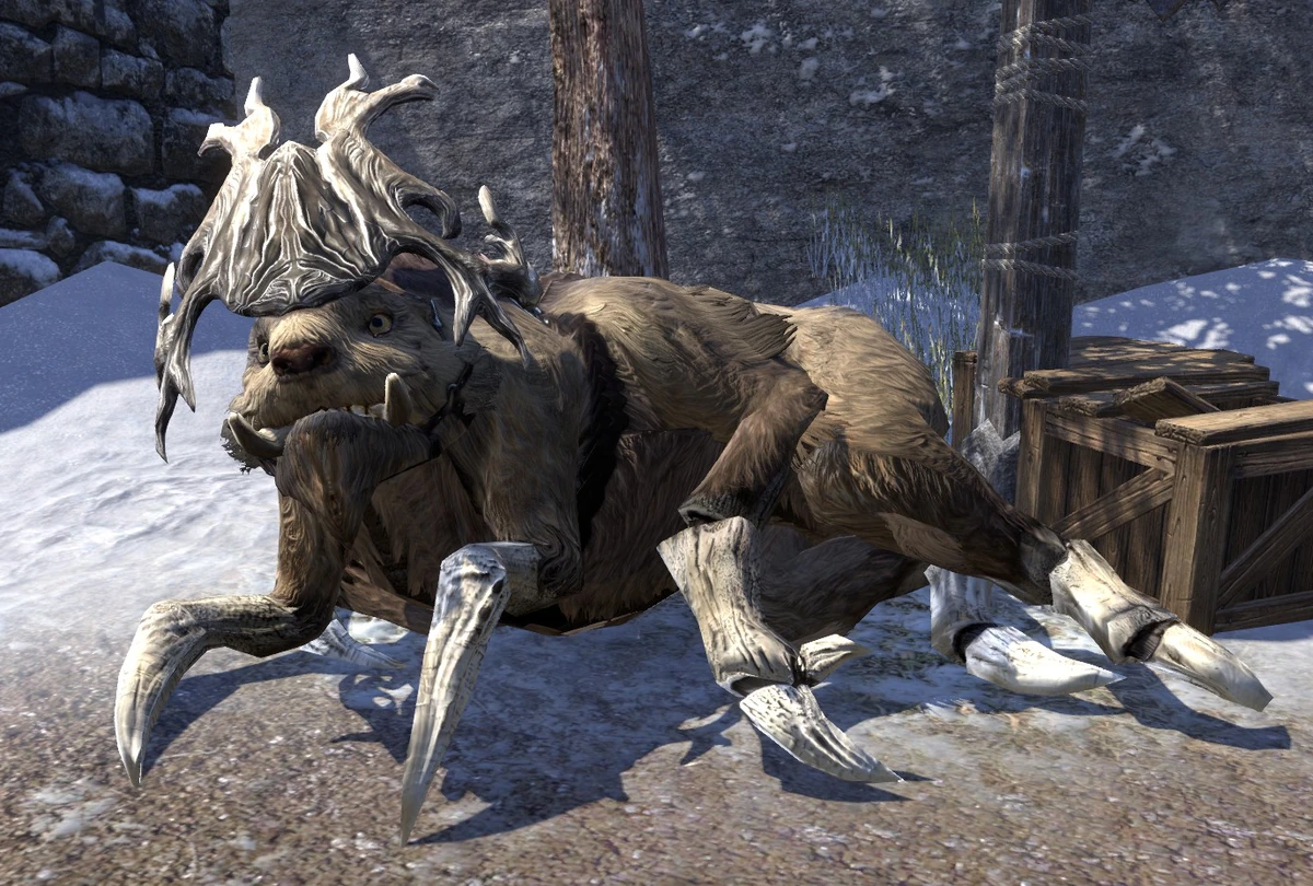 Pack-Echatere | Elder Scrolls Wiki | Fandom