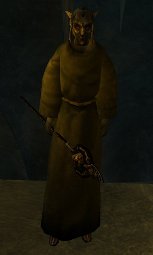 Rogue Necromancer Elder Scrolls Fandom