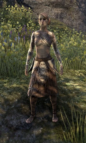 Spinner Parwaen | Elder Scrolls | Fandom