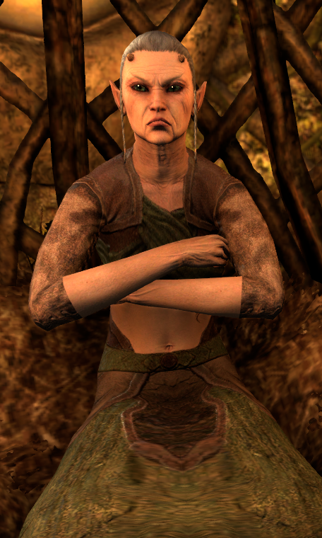 Thane Sylvestre Niriël Wiki The Elder Scrolls Fandom