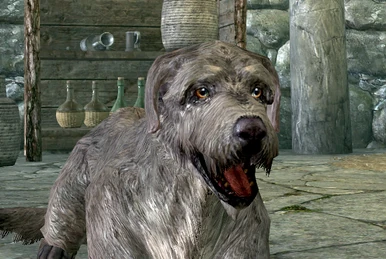 Can I Get A Dog In Skyrim