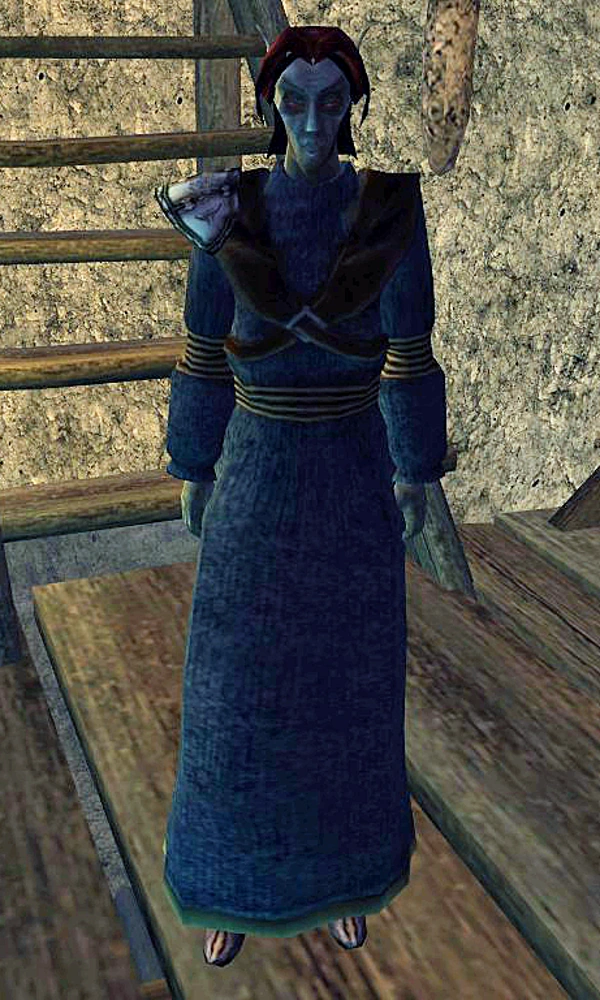 Brelyn Indarys | Elder Scrolls | Fandom