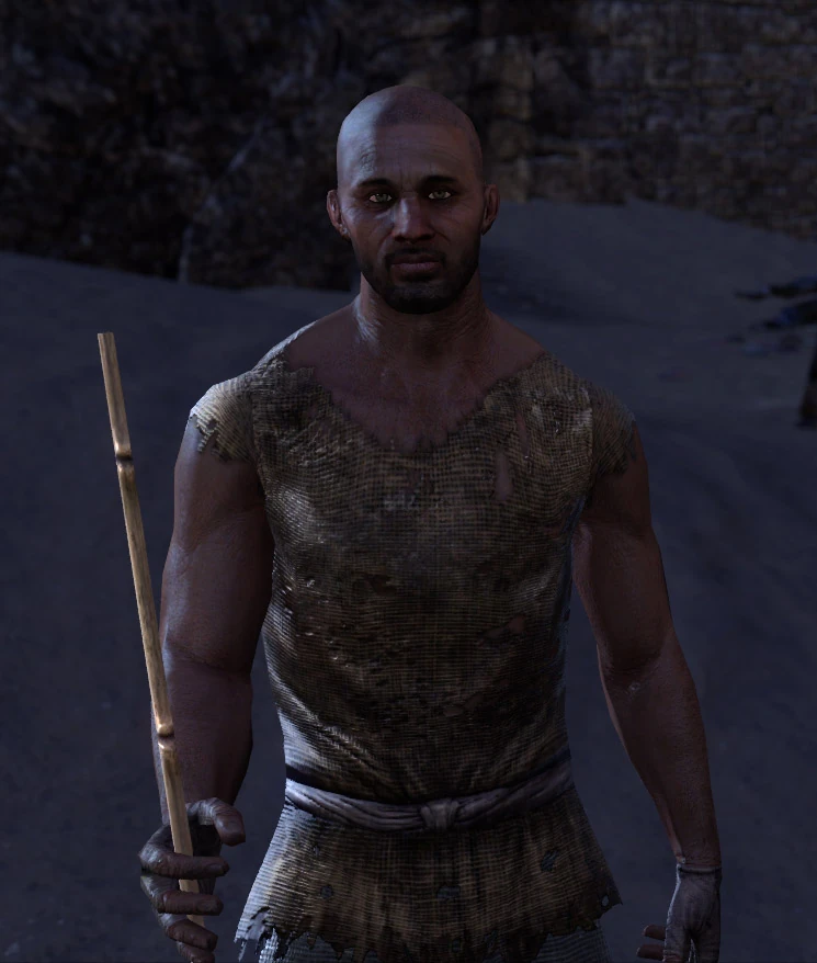 Wakil | Elder Scrolls | Fandom