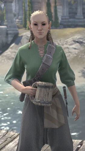 Captain Nieth | Elder Scrolls | Fandom