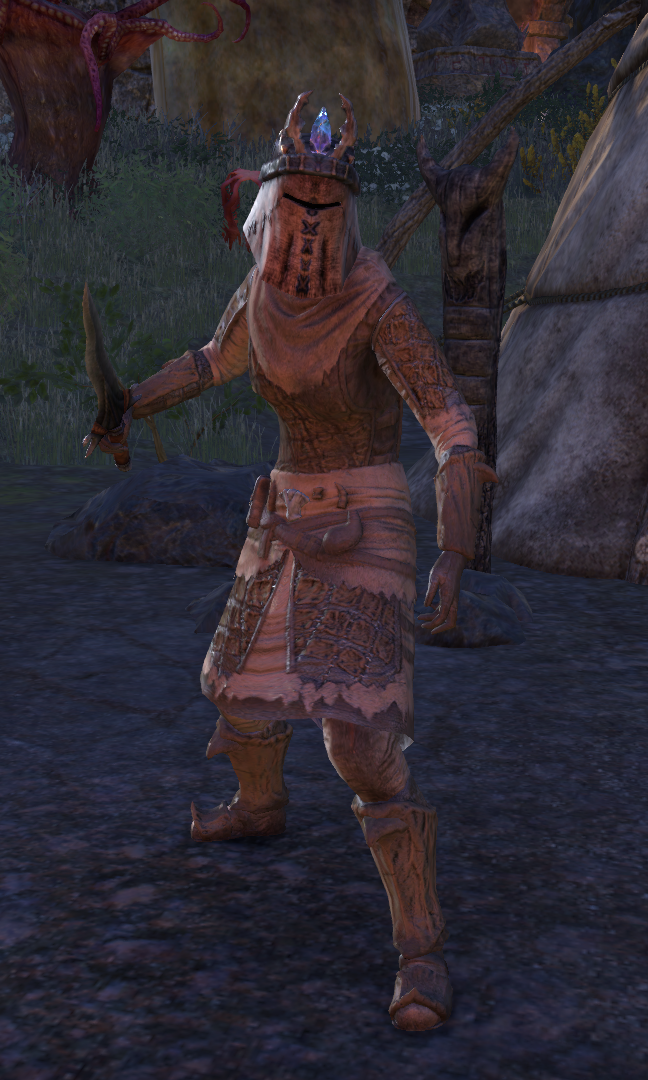Chamane Cendraise Wiki The Elder Scrolls Fandom
