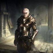 Thalmor Soldier (Legends) | Elder Scrolls | Fandom