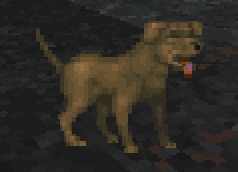 Dog (Daggerfall) | Elder Scrolls | Fandom