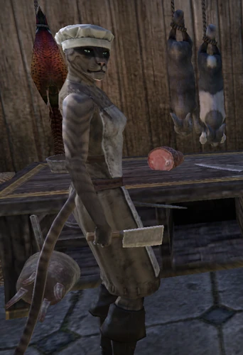 Fishcatcher | Elder Scrolls | Fandom