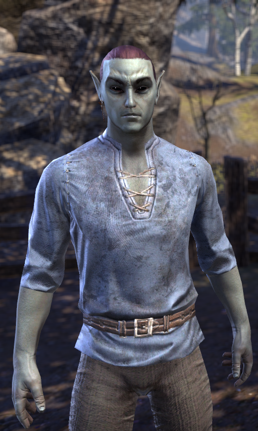 Prisonnier Nam Wiki The Elder Scrolls Fandom