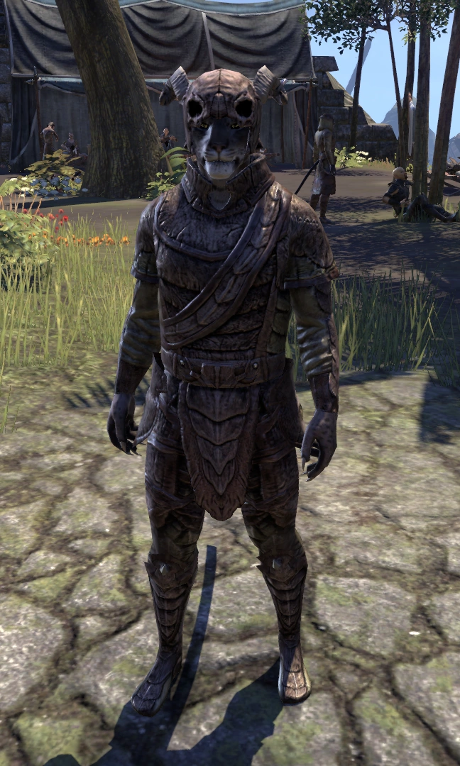 Hairan (Online) | Wiki The Elder Scrolls | Fandom