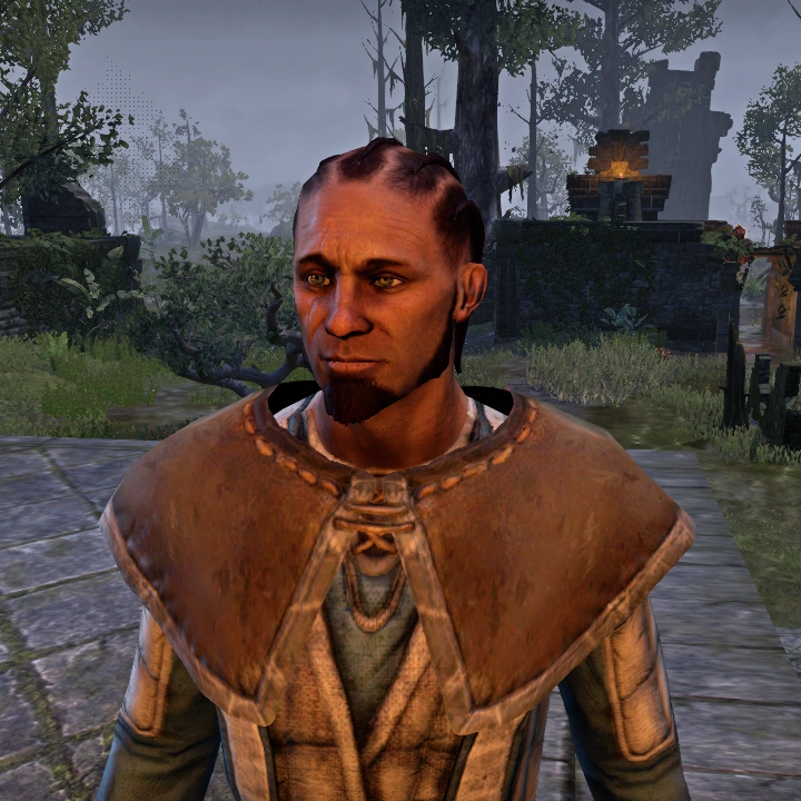 Сальяж | The Elder Scrolls Wiki | Fandom