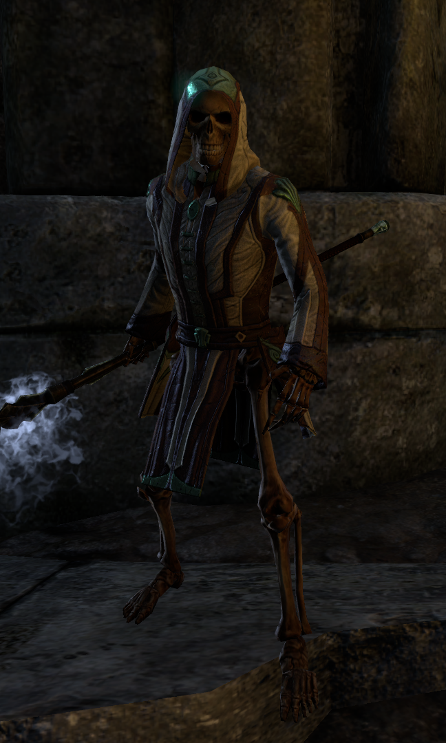 Maître Glace Squelette Wiki The Elder Scrolls Fandom