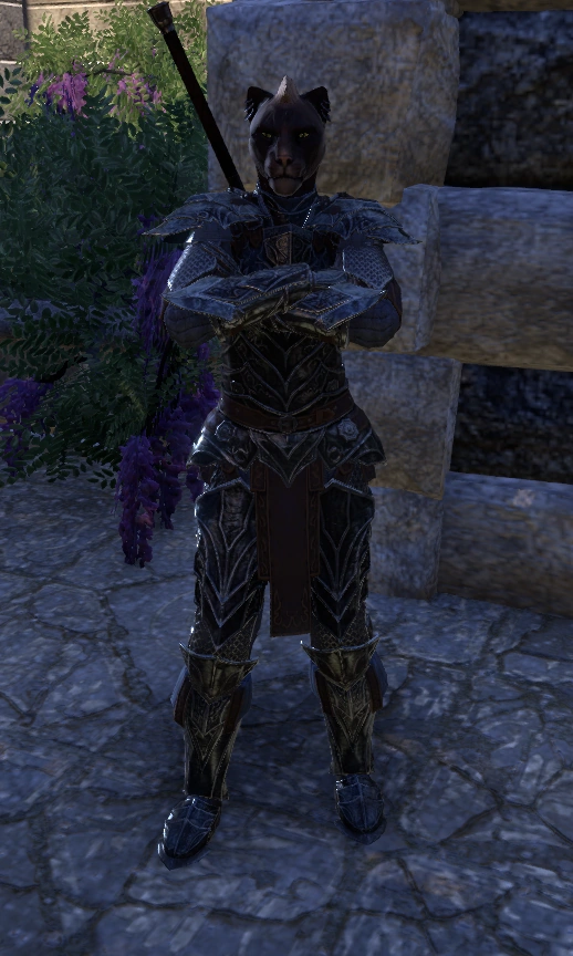 Pathi | Wiki The Elder Scrolls | Fandom