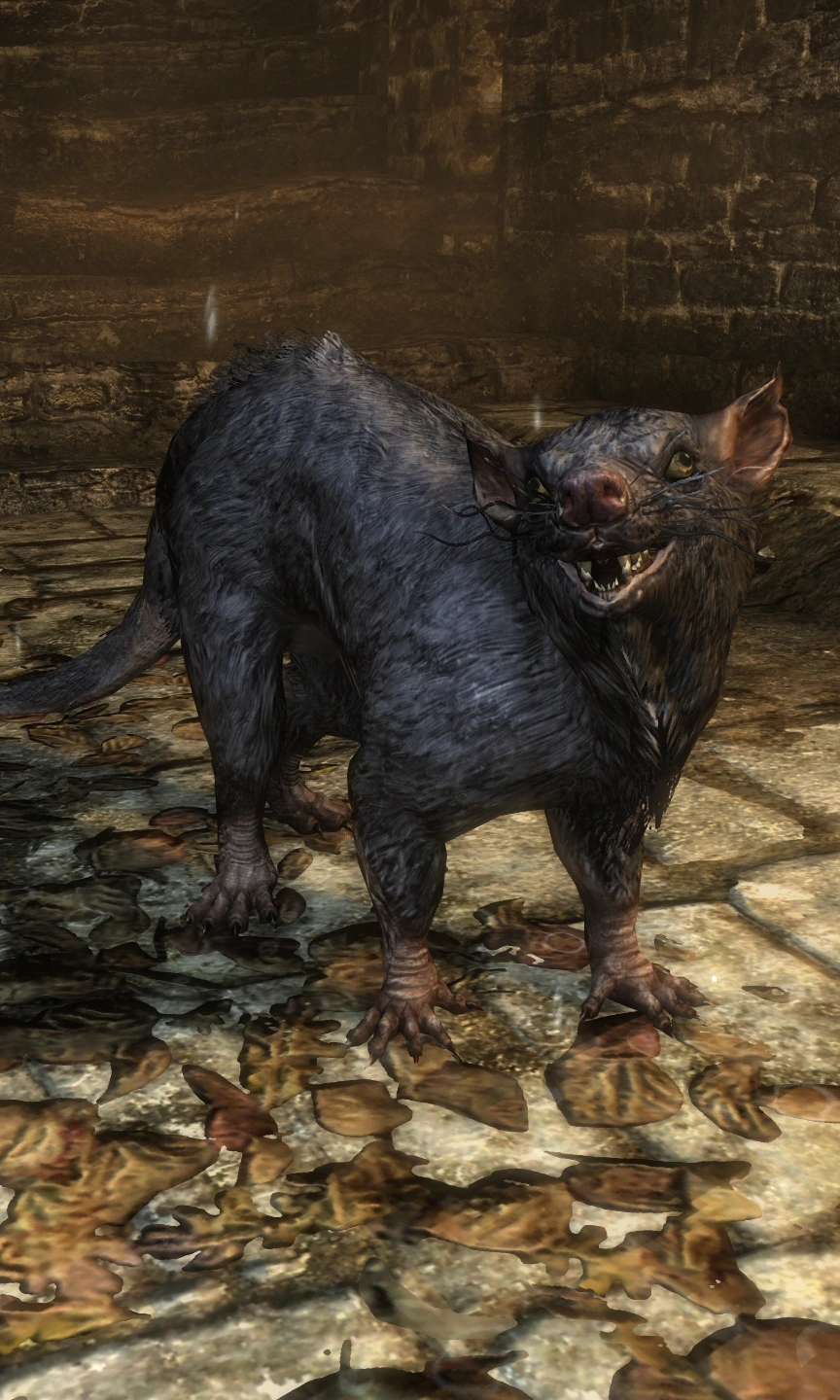 Skritch | Elder Scrolls | Fandom