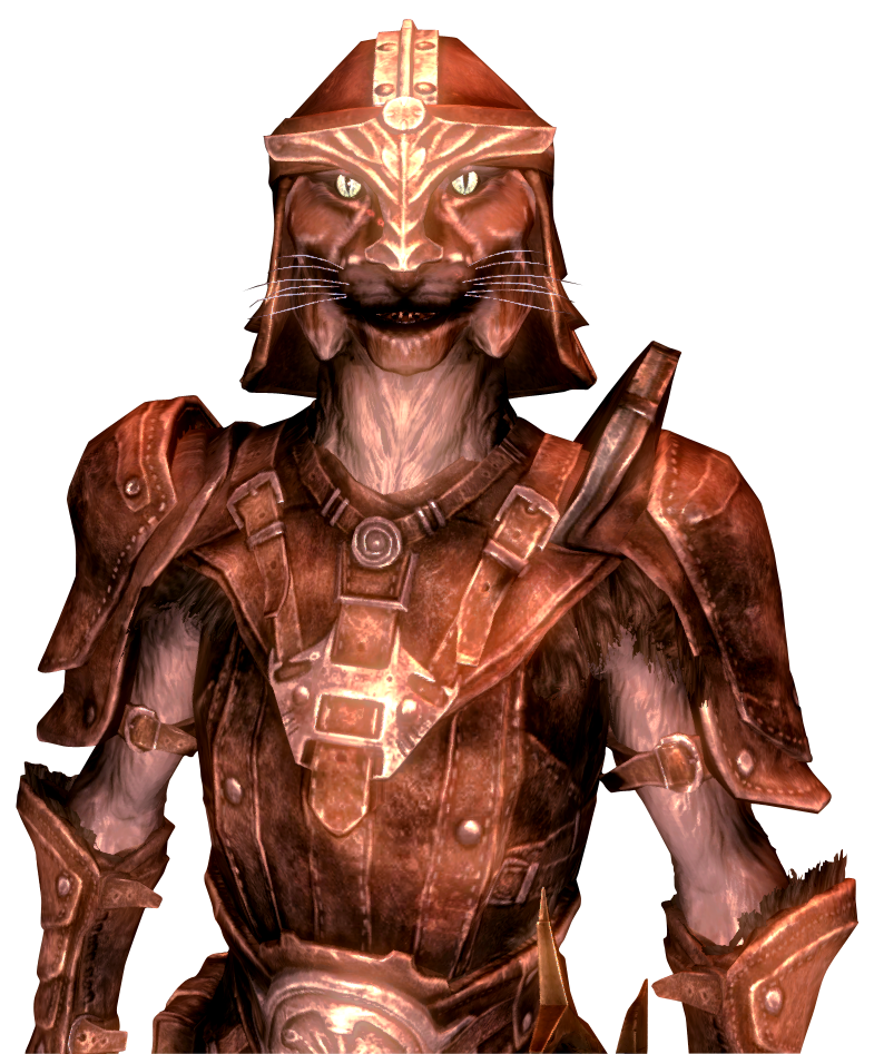 Ракеран Skyrim The Elder Scrolls Wiki Fandom