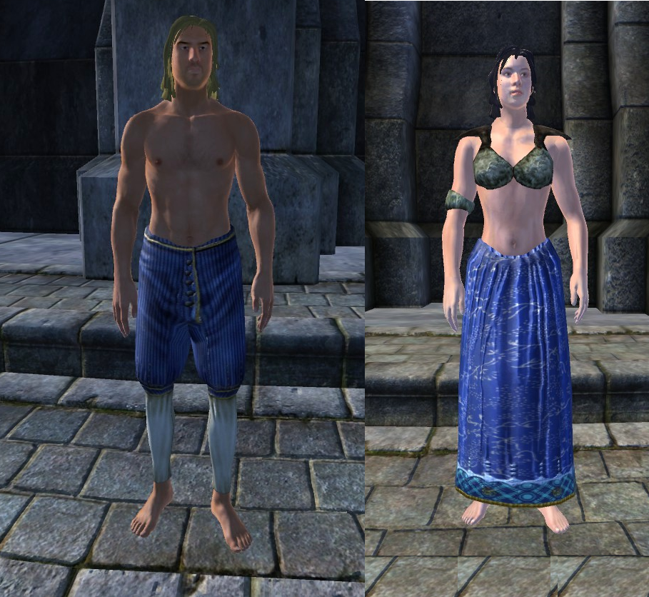Синяя шёлковая одежда The Elder Scrolls Wiki Fandom