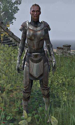 Captain Gilame | Elder Scrolls | Fandom