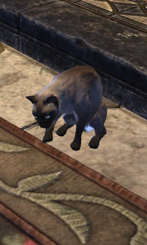 Lucia (Online) | Elder Scrolls | Fandom