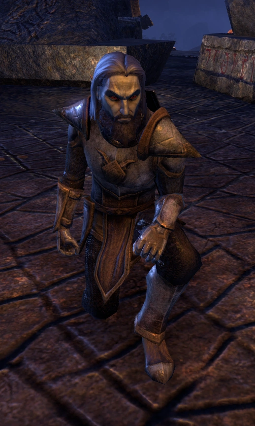 Servos Nirith | Wiki The Elder Scrolls | Fandom