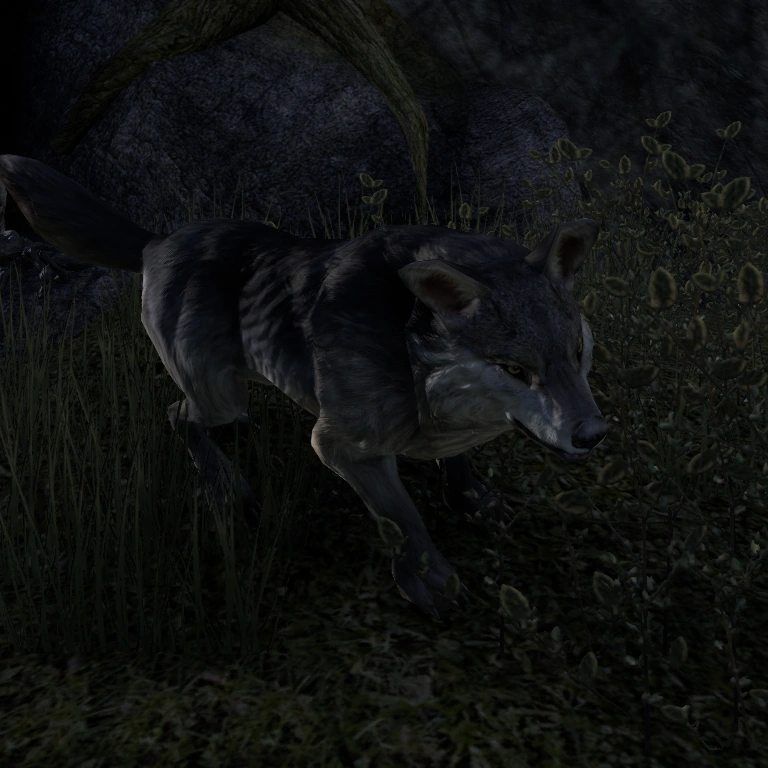 Shayla | Wiki The Elder Scrolls | Fandom