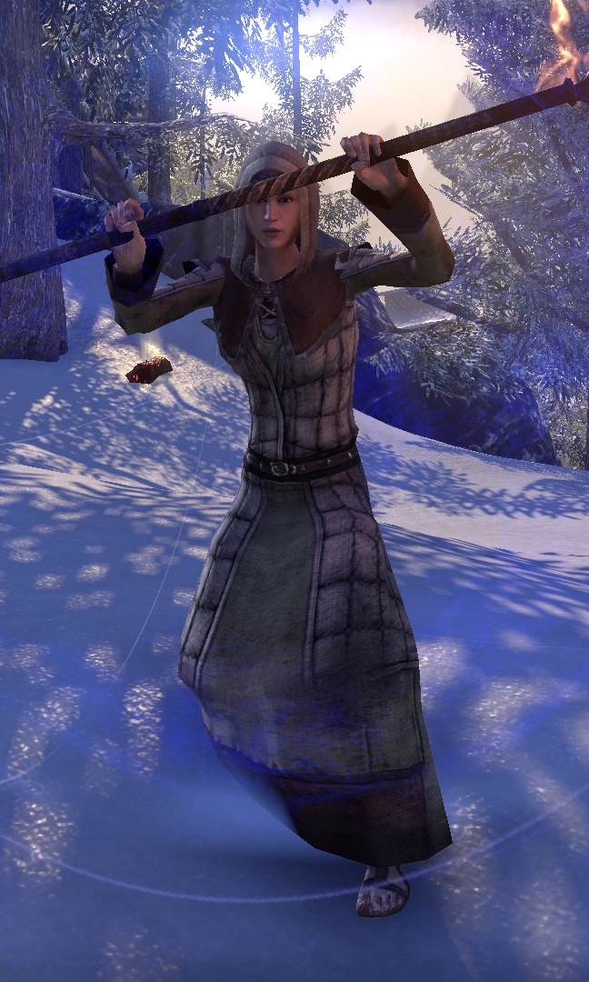 Invocateur (Online) | Wiki The Elder Scrolls | Fandom