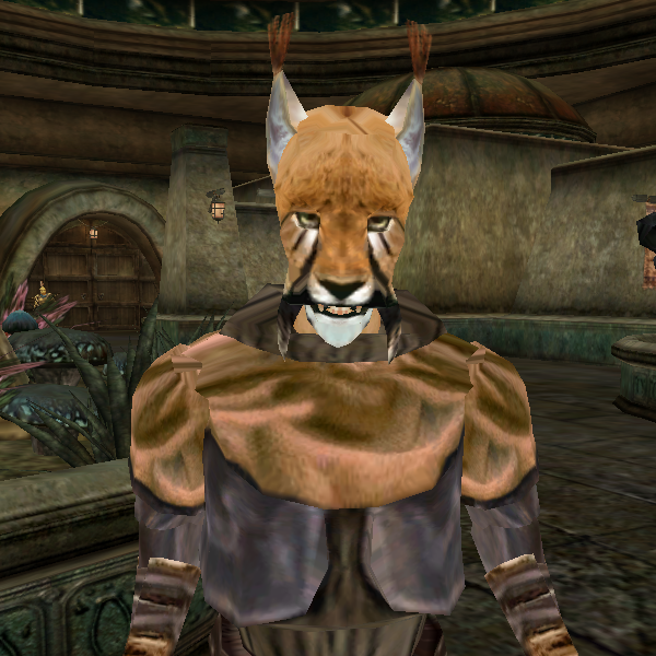 ДроБарри The Elder Scrolls Wiki Fandom