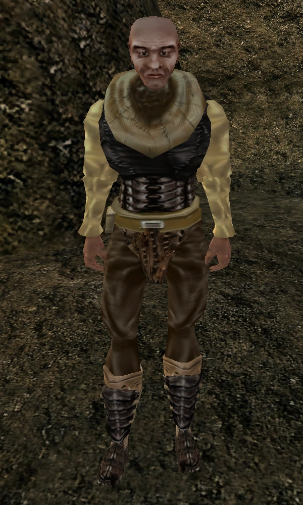 Esdrufus Harsinia | The Elder Scrolls Wiki | Fandom