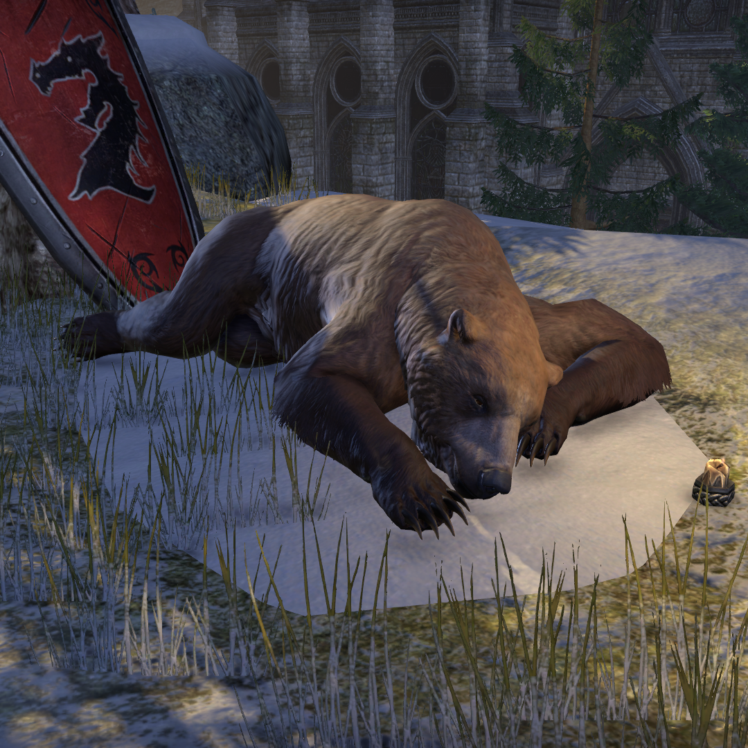 Semaj Au Repos Wiki The Elder Scrolls Fandom