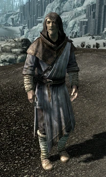 dragonborn wizard bg3
