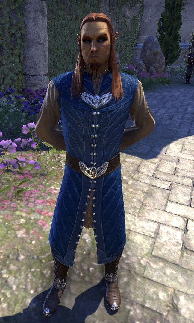 Arrimoril | Elder Scrolls | Fandom