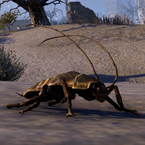 Sandroach | Elder Scrolls | Fandom
