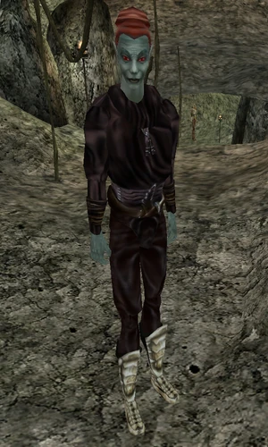 Sethesi Adas | Elder Scrolls | Fandom