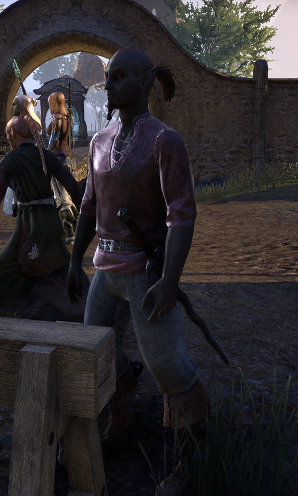 Andilo Barus | Elder Scrolls | Fandom