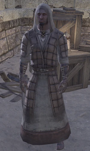 Beggar (Hallin's Stand) | Elder Scrolls | Fandom