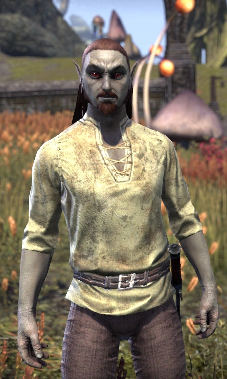 Daledan | Wiki The Elder Scrolls | Fandom