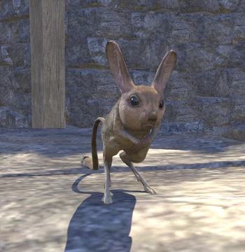 Rogue (Creature) | Elder Scrolls | Fandom